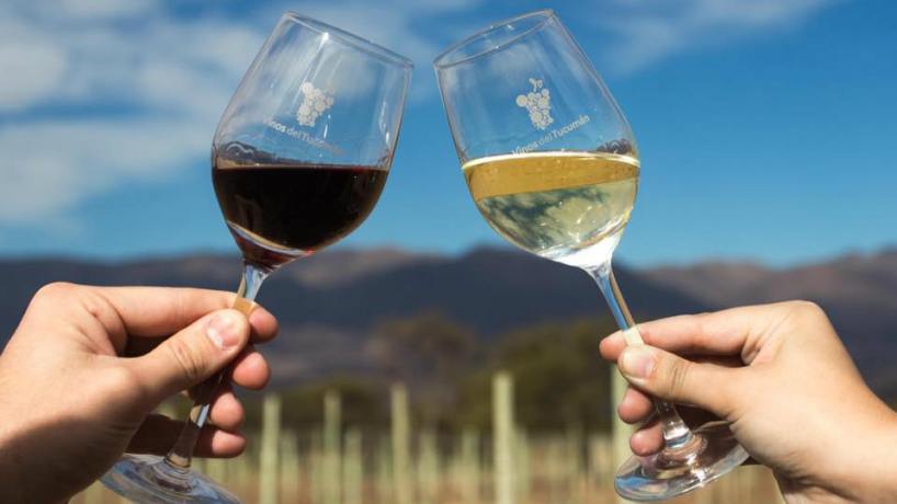 La Ruta del Vino ofrece deleite (gratuito) para los cinco sentidos ...