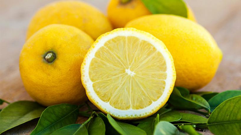 Los limones tucumanos van camino a India - Tucumán - el tucumano