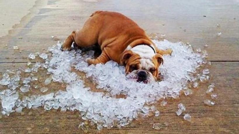 ¿Hasta cuándo seguirá el calor infernal en Tucumán? - Tucumán - el tucumano ¿Hasta cuándo seguirá el calor infernal en Tucumán? - Tucumán - el tucumano