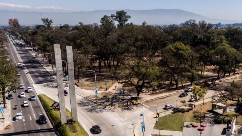 "Hace tres días que está ahí": el gato del Parque Avellaneda y el caso ...