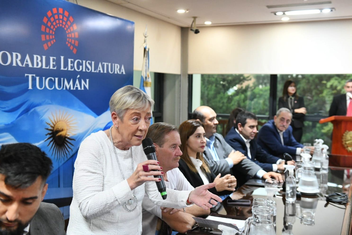 Los abuelos de Lucio Dupuy en Tucumán: sigue la lucha contra la ...